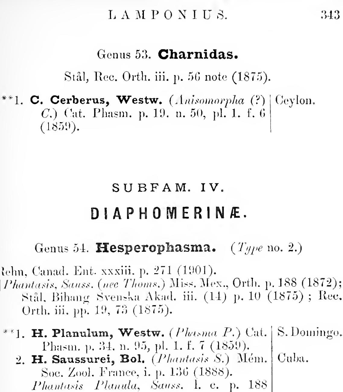 Figure 241 - A SYNONYMIC CATALOGUE ON ORTHOPTERA. VOL. I.