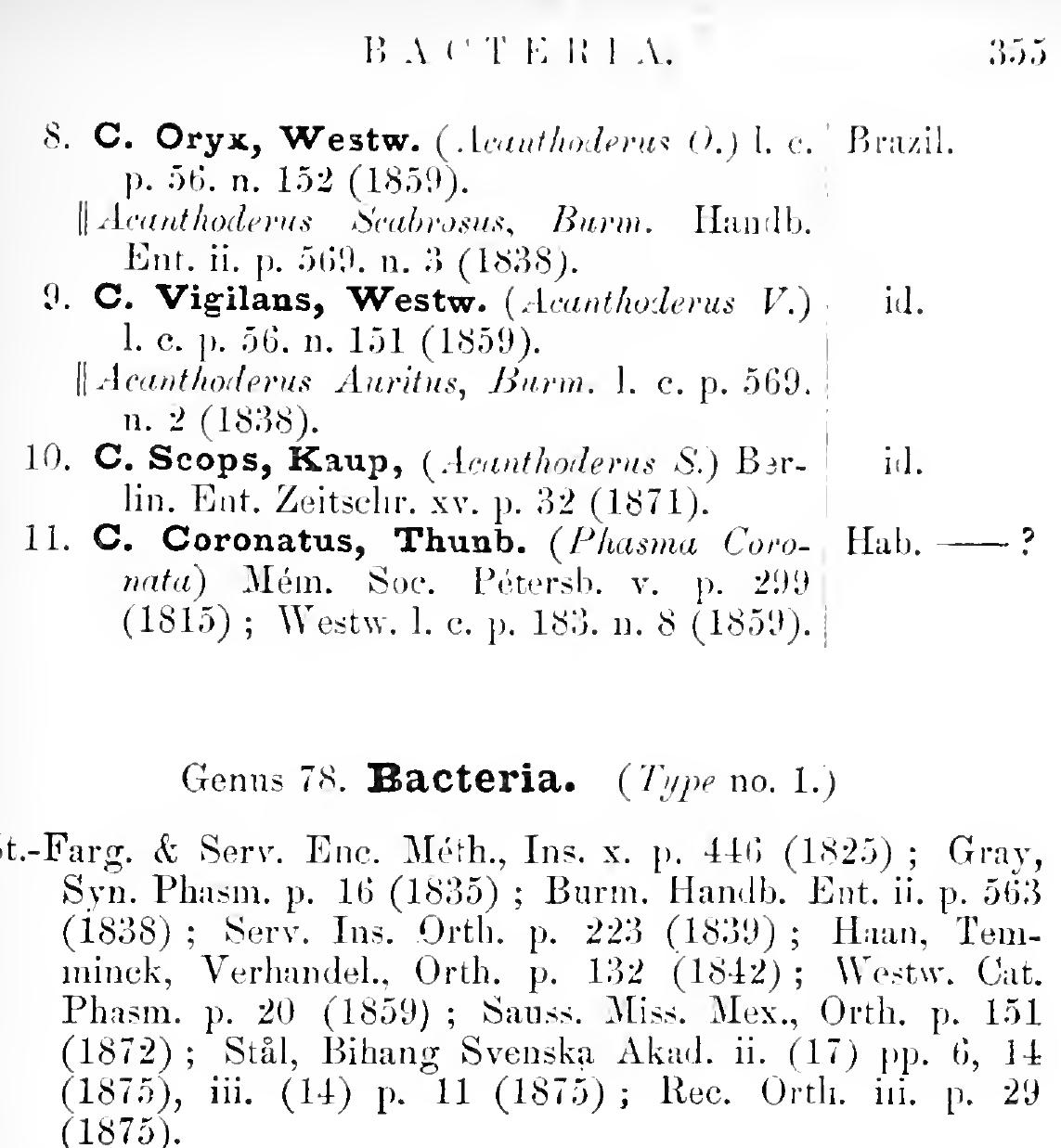 Figure 251 - A SYNONYMIC CATALOGUE ON ORTHOPTERA. VOL. I.