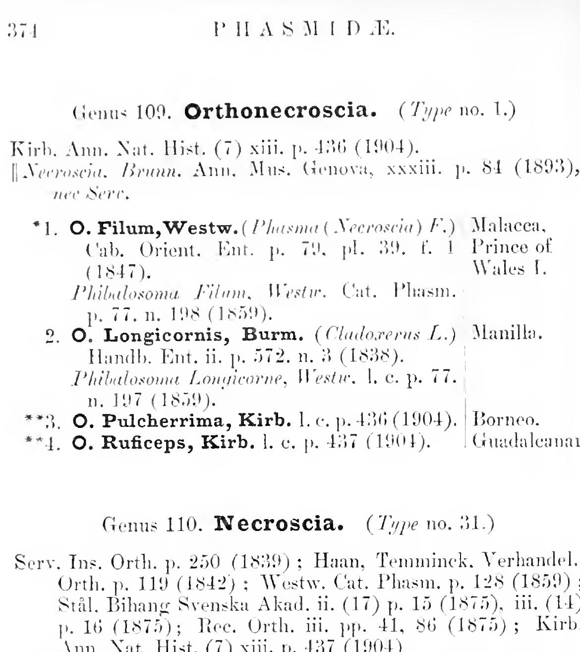 Figure 265 - A SYNONYMIC CATALOGUE ON ORTHOPTERA. VOL. I.