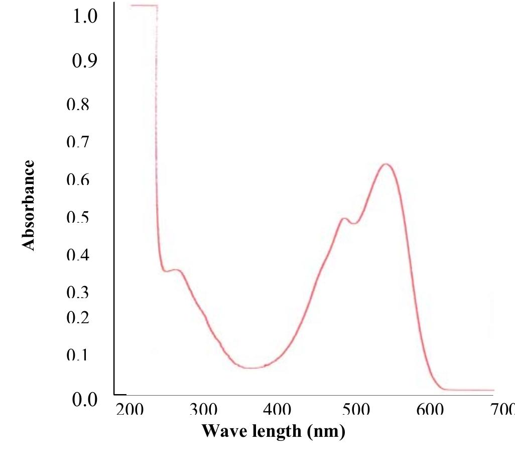 Figure 2 - from Stability of Betalain Pigments from Red