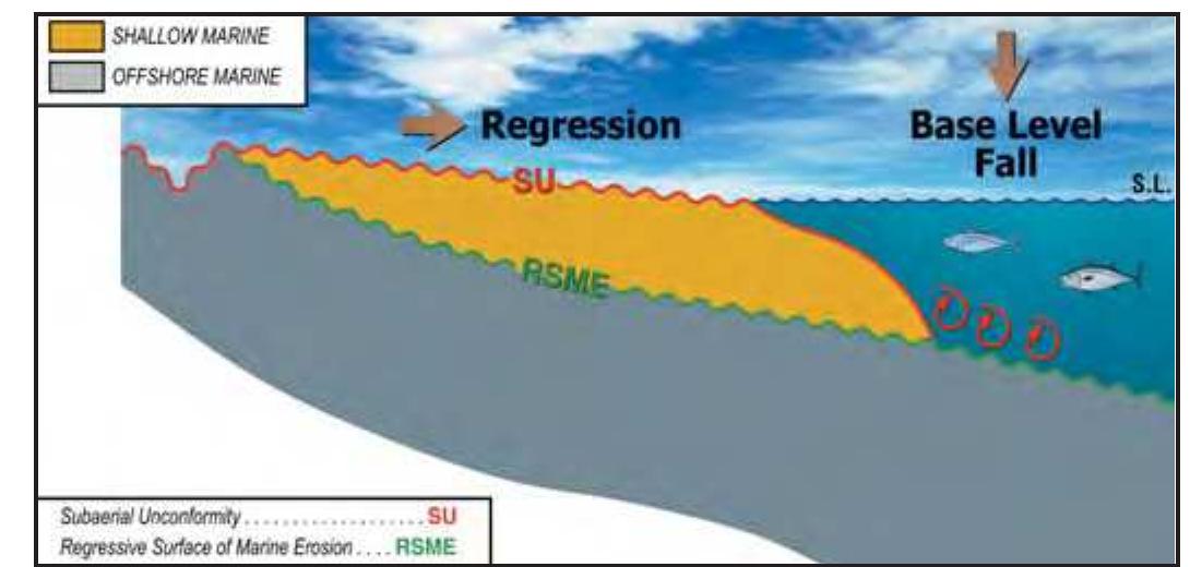 Because the regressive surface of marine erosion migrates