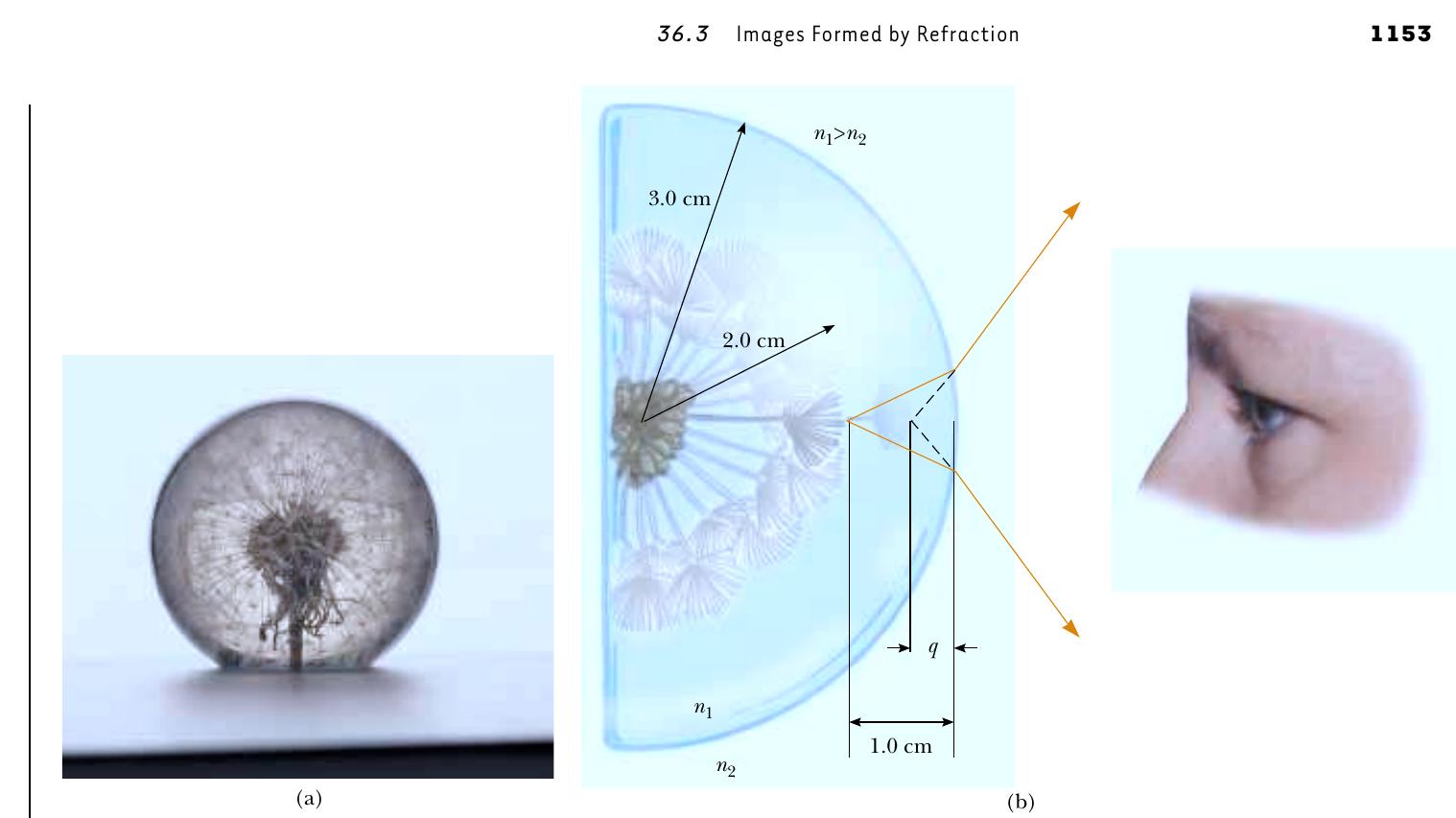 20 (a) an object embedded in a plastic sphere forms a