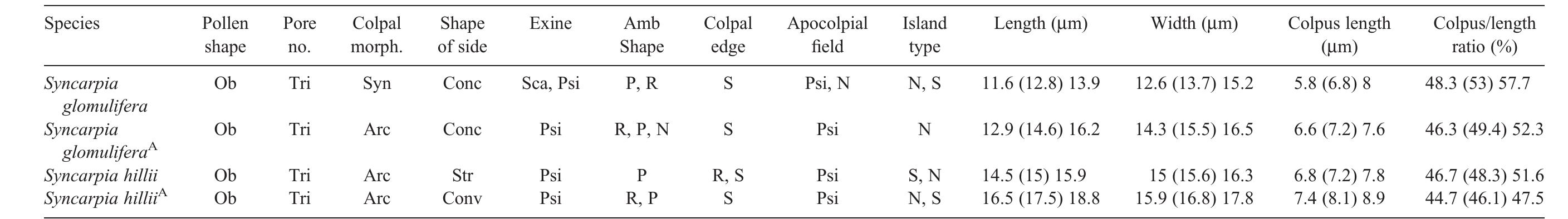 Syncarpieae light microscopy sample measurements see table