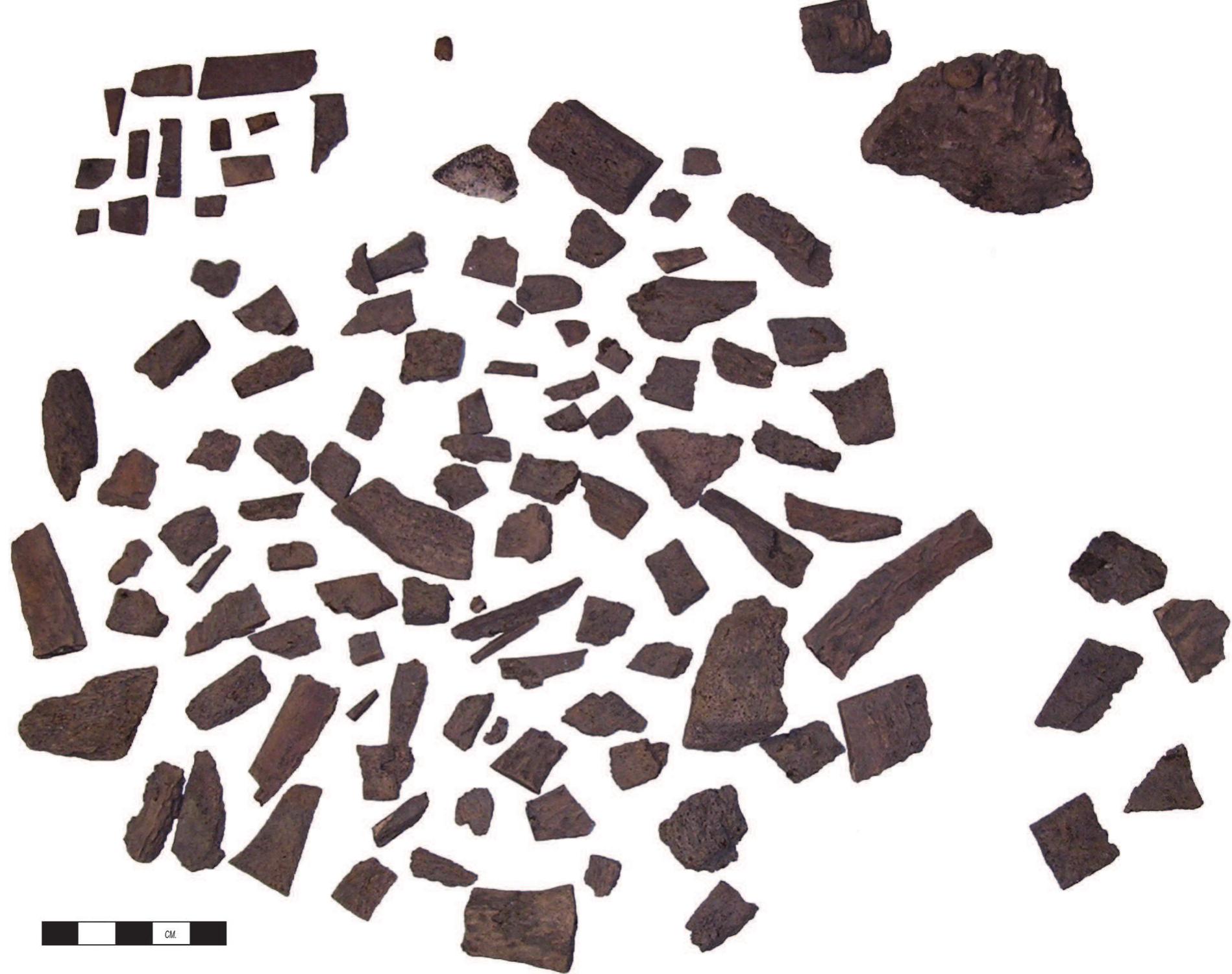 Antler waste fragments from sieving samples. photo: joyce