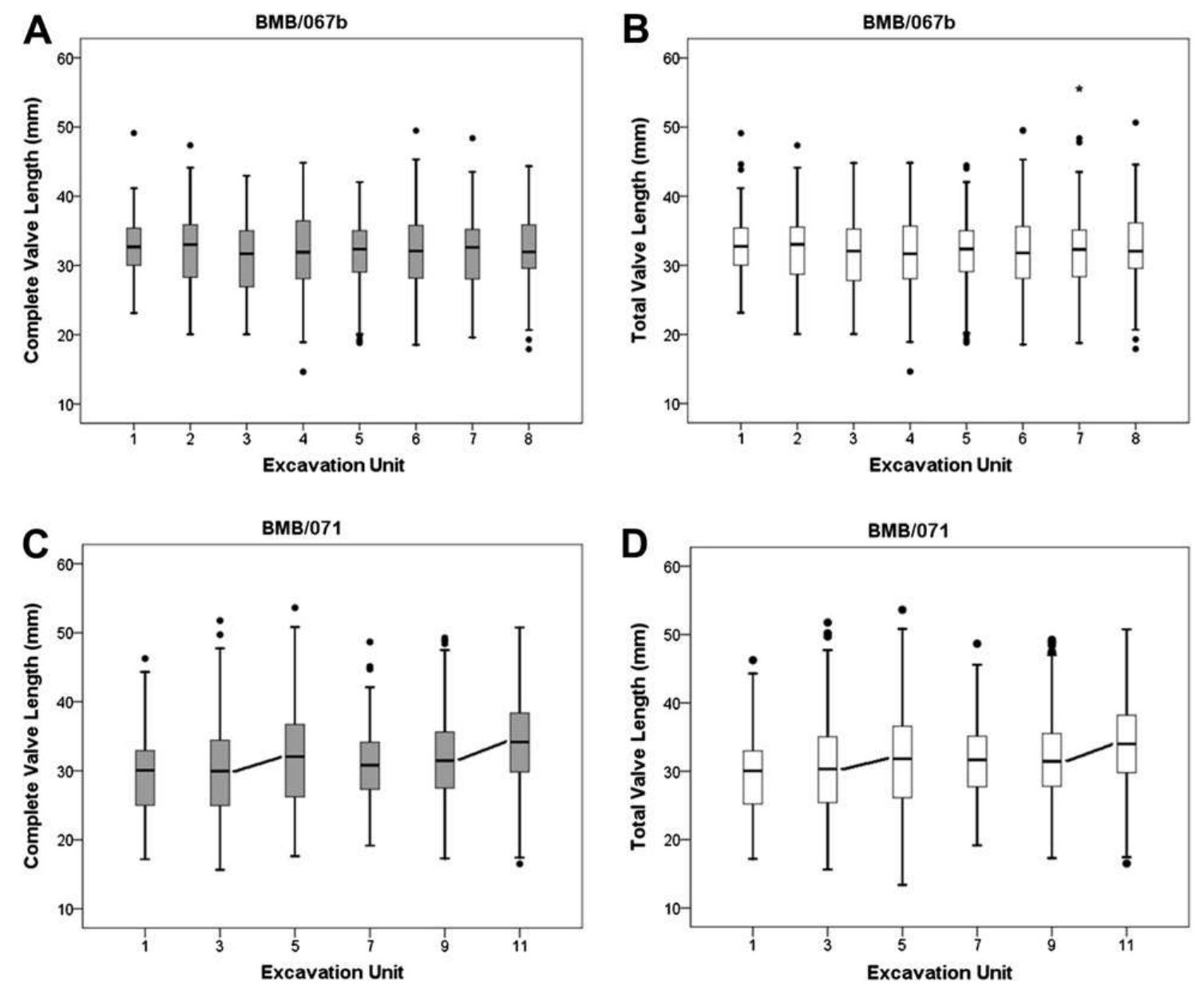 Boxplots of a. granosa valve length by excavation unit for
