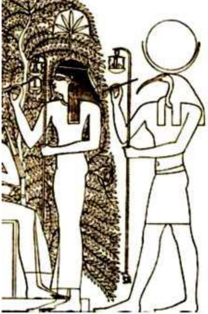 Seshat and tehuti together, both holding notched palm