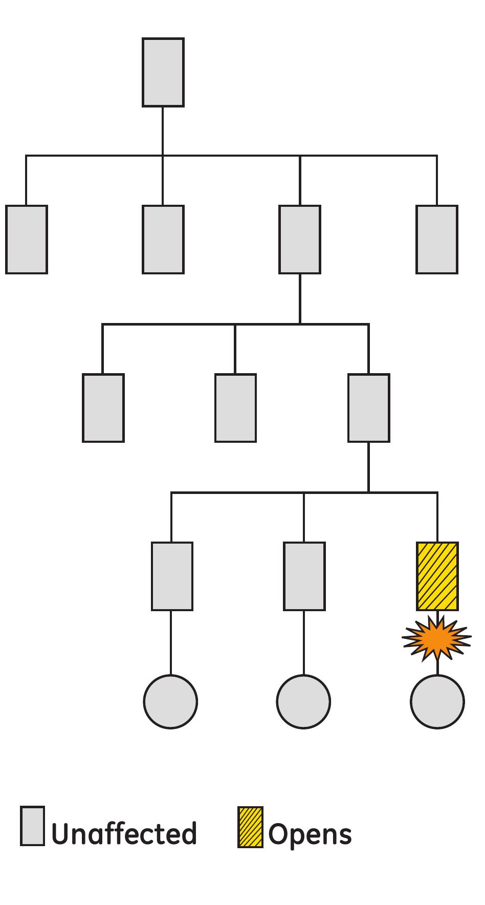 Figure 1 - Guide to Low Voltage System Design and