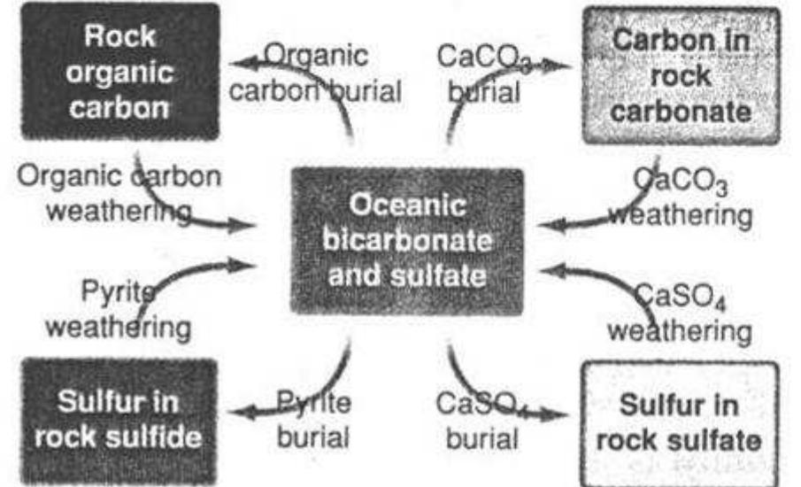 Elemental flow chart. the cycles of carbon and sulfur as