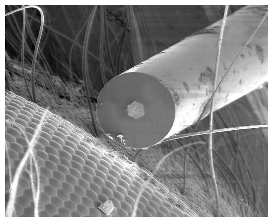 23: a holey fiber seen in an electron microscope together