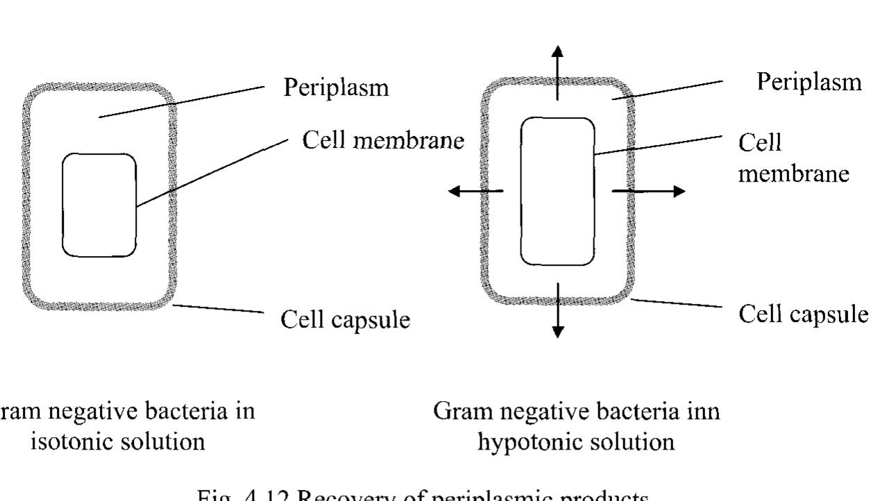 Figure 29 - PRINCIPLES OF BIOSEPARATIONS ENGINEERING iffcS*