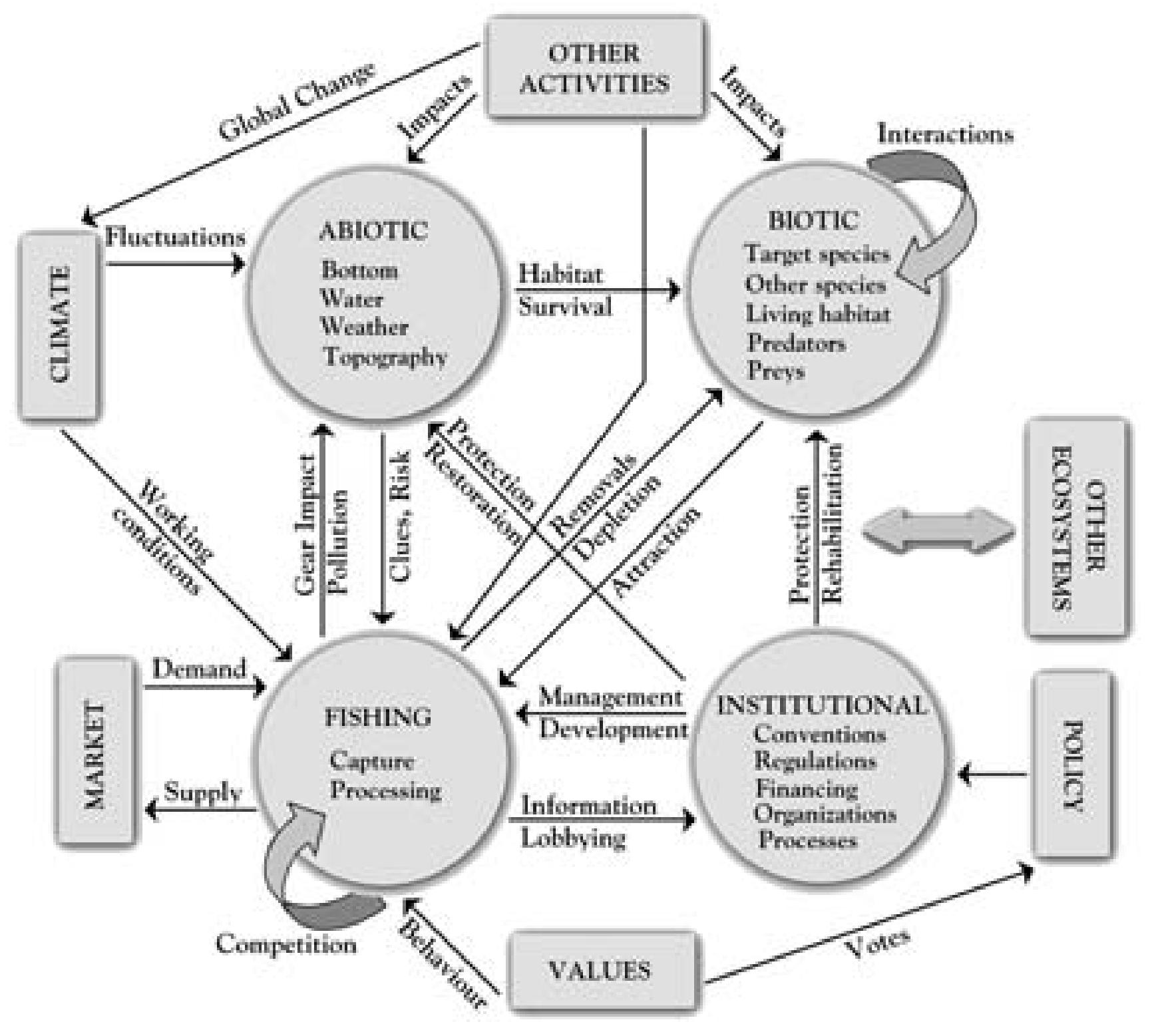Simplified diagram of an ecosystem and its components the
