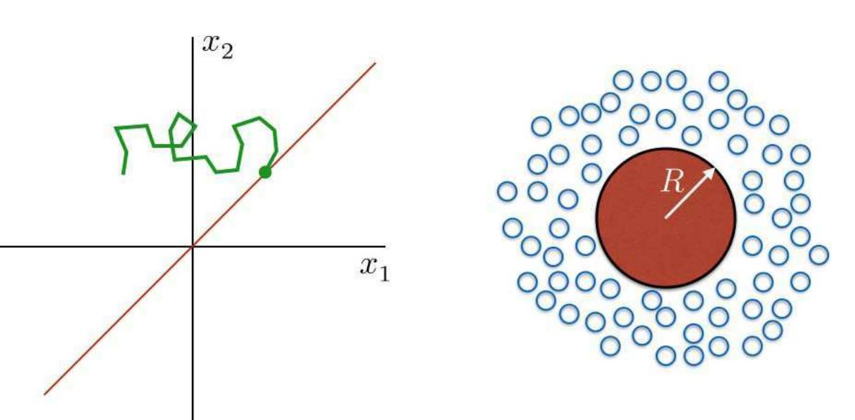 1: two examples of diffusion problems. left: vicious random