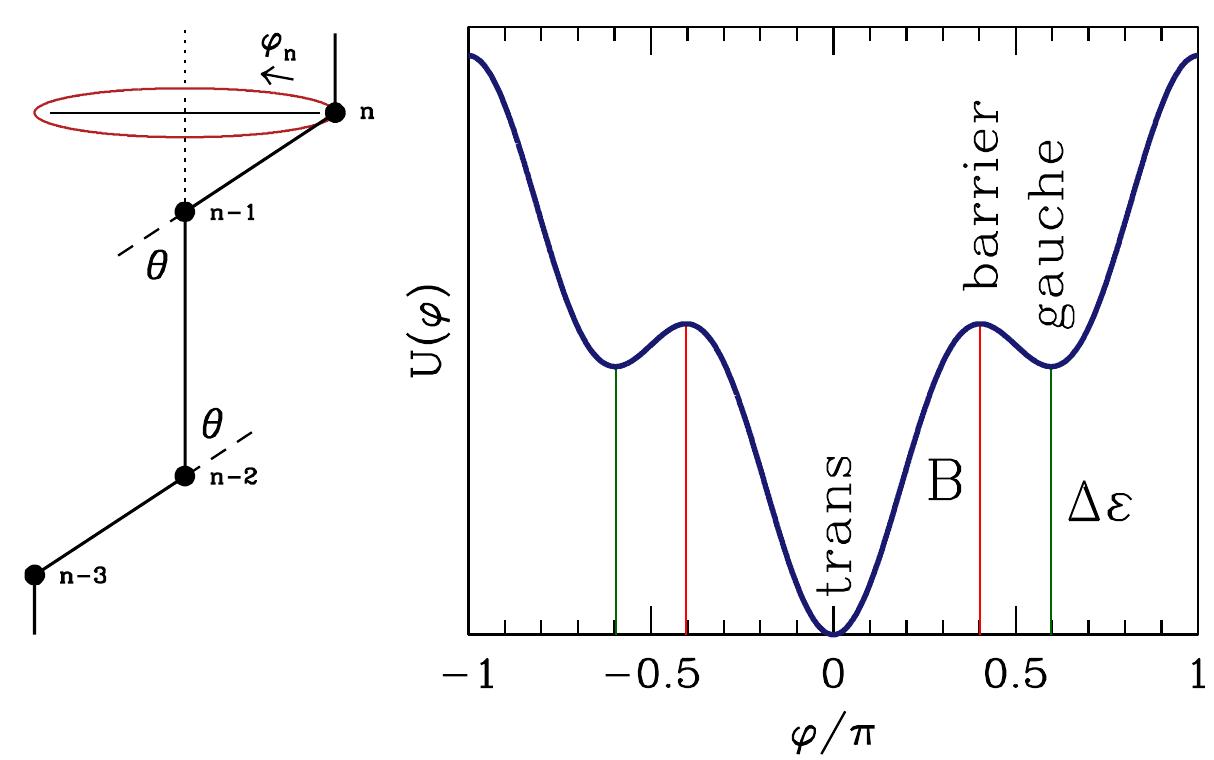 3: left: trans and gauche orientations in carbon chains.