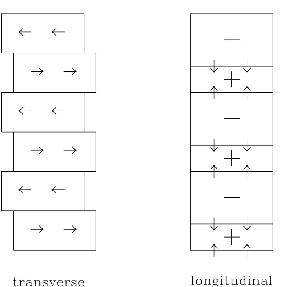 14: transverse and longitudinal phonon polarizations.
