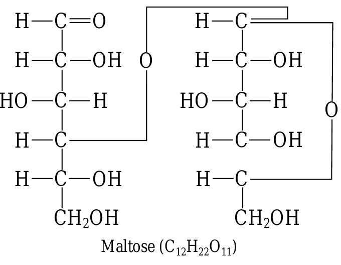 Maltose maltose is made by the hydrolysis of starch, induced