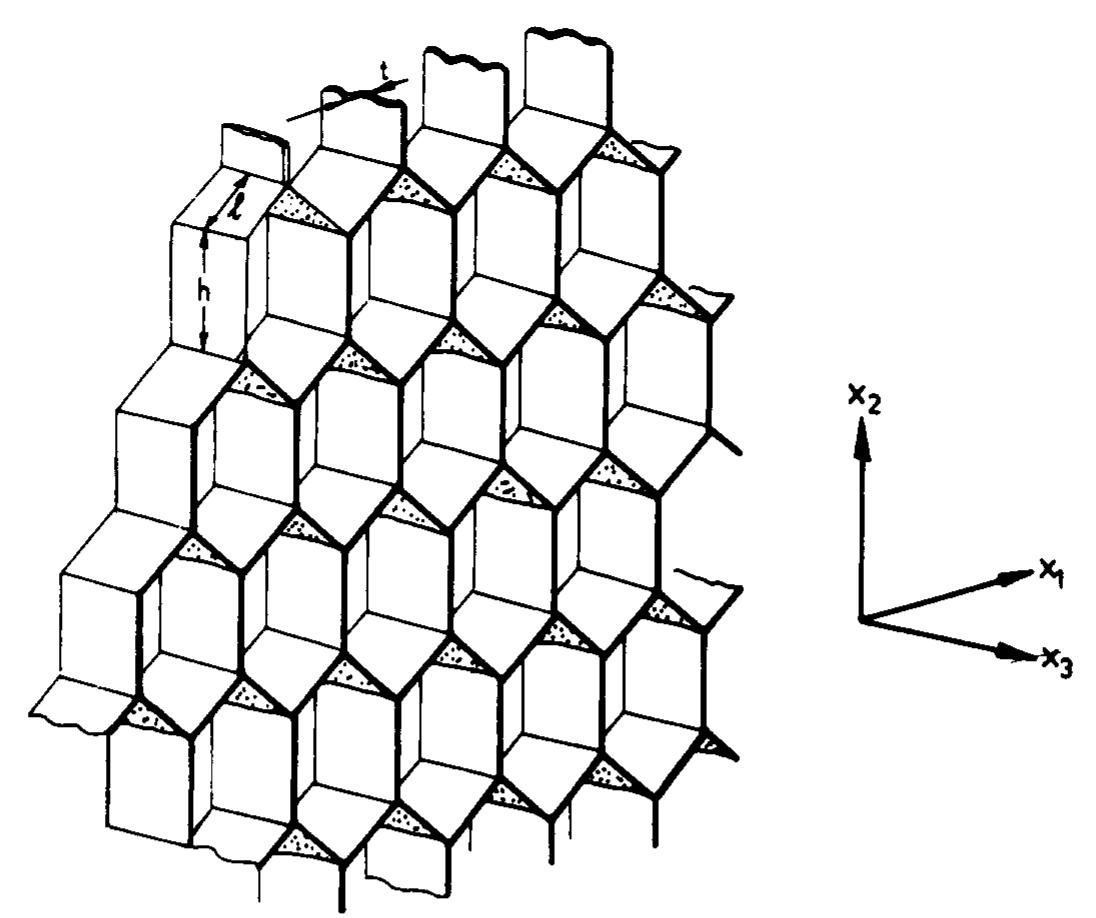 Fic. 1. a honeycomb with hexagonal cells, after gibson and