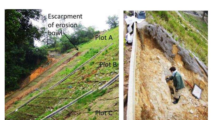 Slope failure and its escarpment at plot a