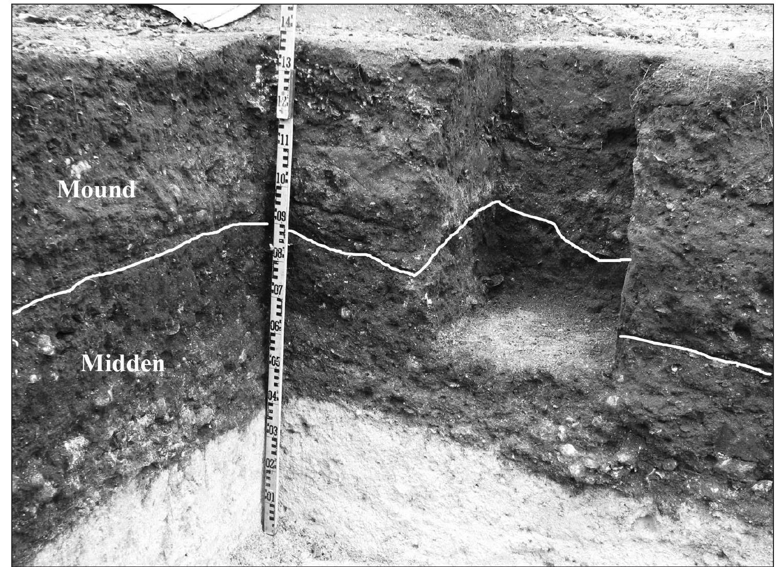 Northwest corner of moala’s mound excavation illustrating