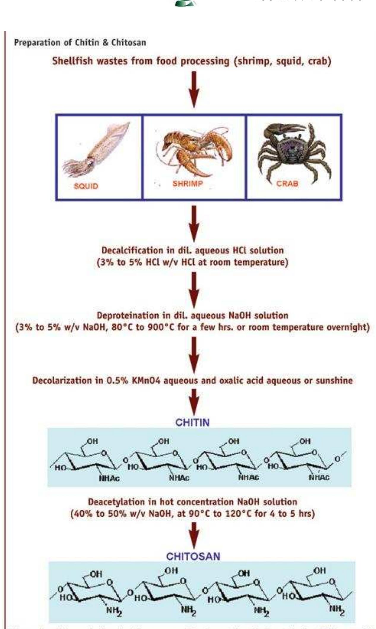 Figure 2 - Chitosan nanoparticles as a drug delivery system