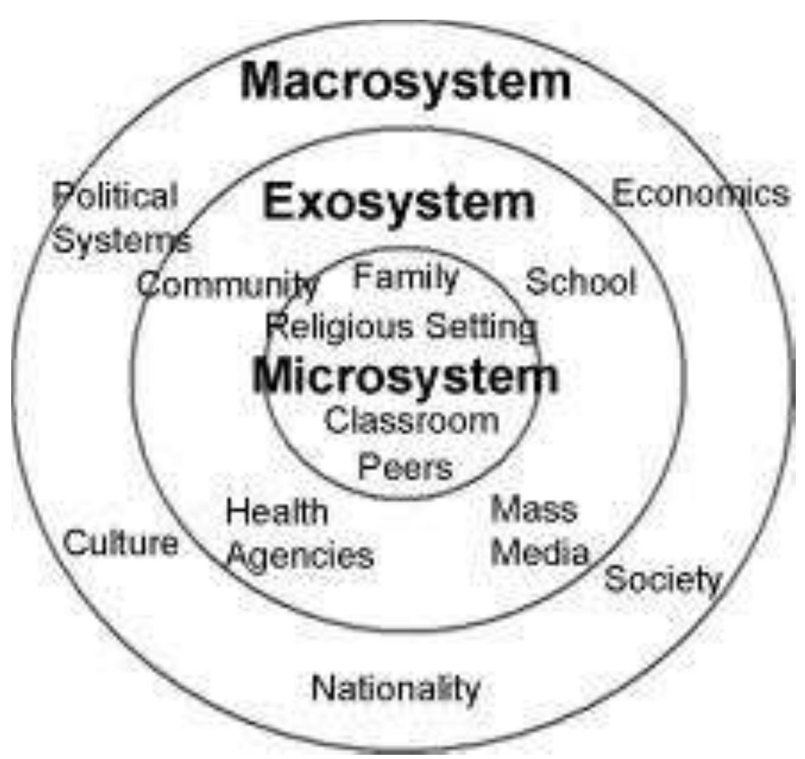 Bronfenbrenner’s ecological systems theory diagram in bruce