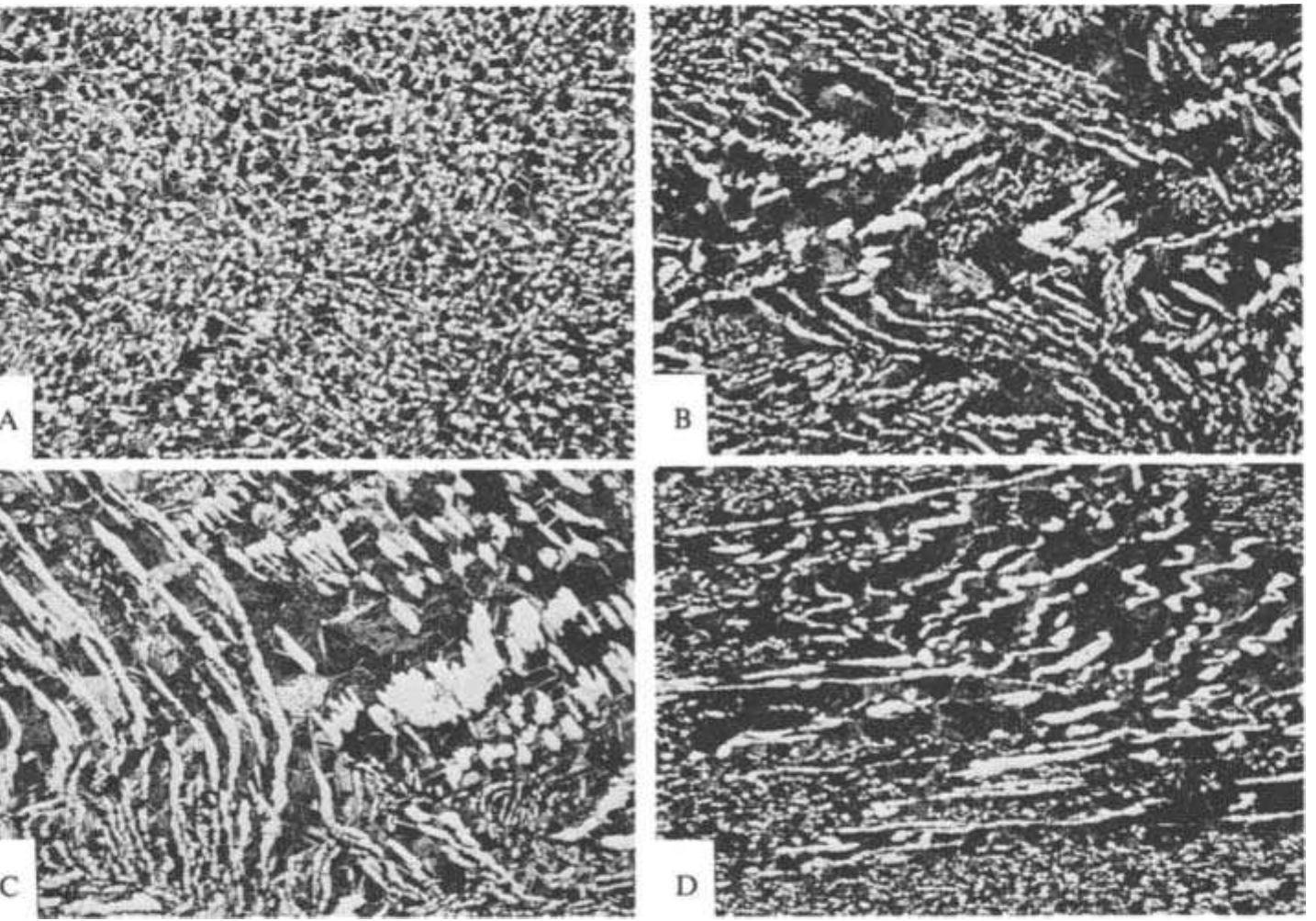 -19b microstructure of the four areas shown in fig. 1-19a.