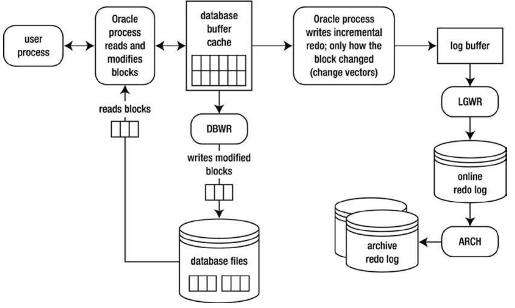 -2. oracle normally only writes change vectors to the redo