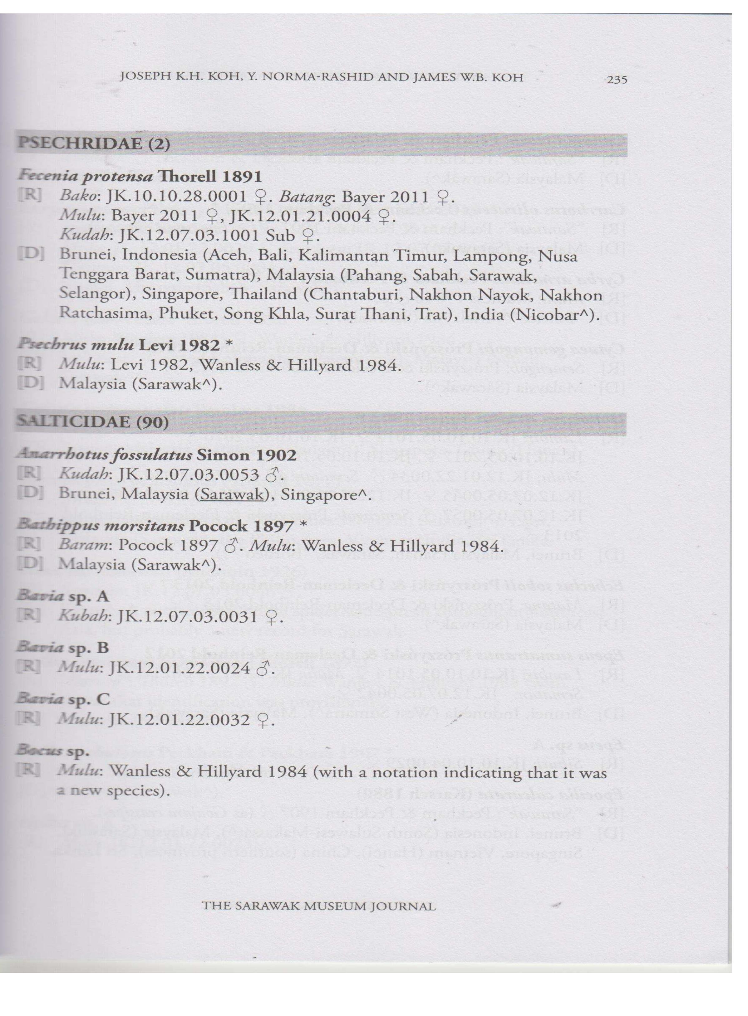 Figure 25 - A PRELIMINARY CHECKLIST OF SARAWAK SPIDERS