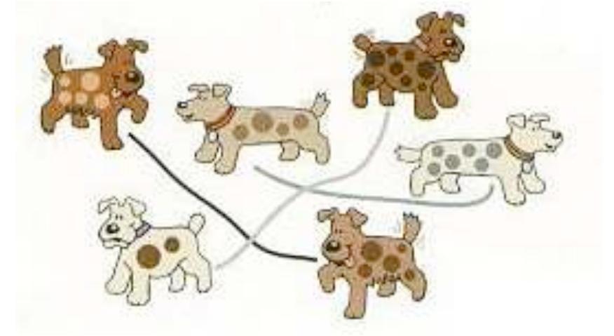 Page 7 spots, frog 7 needs 3 extra spots. 5 needs 5 extra