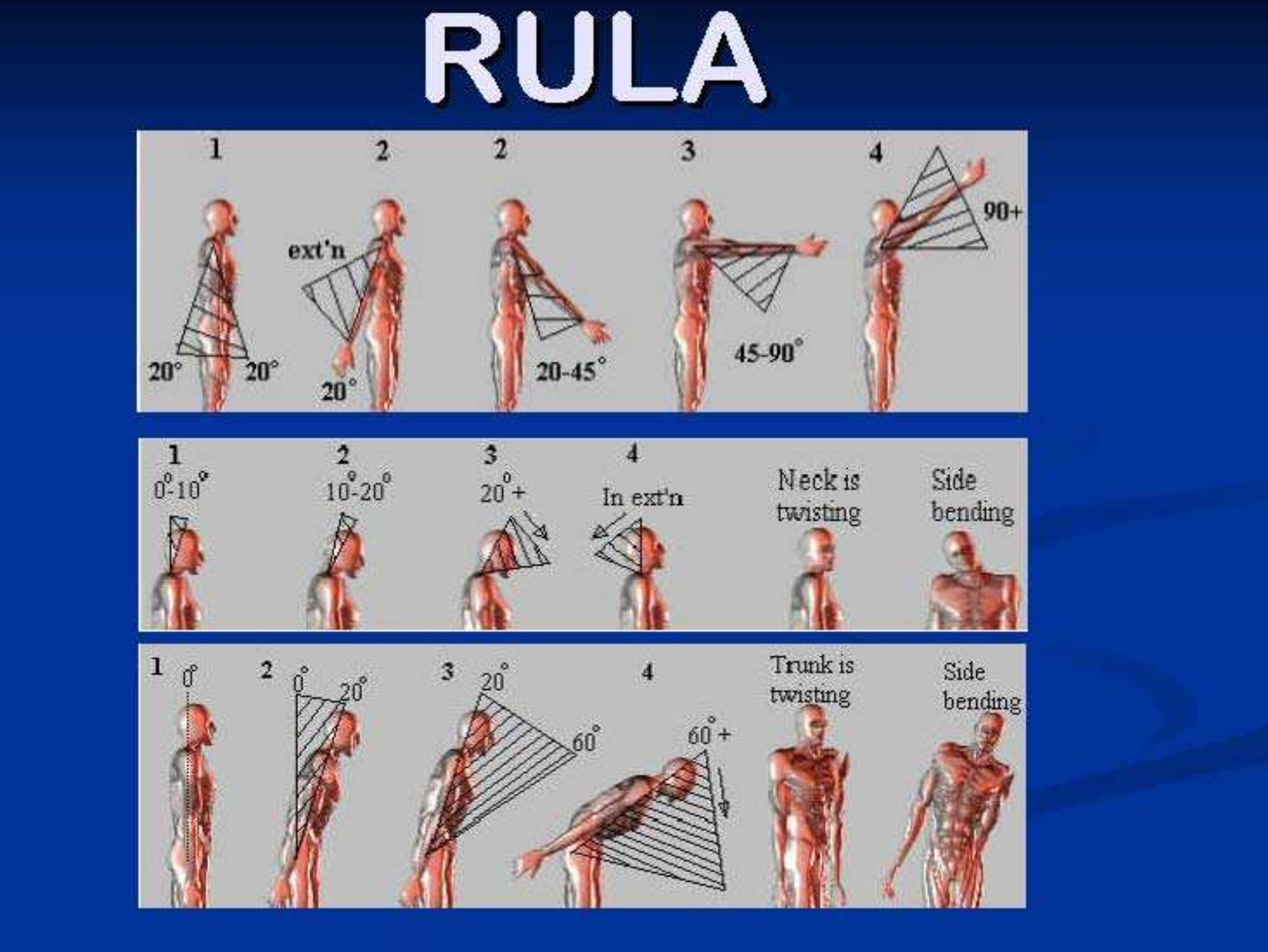 (PDF) Ergonomic Evaluation Tools: RULA and REBA