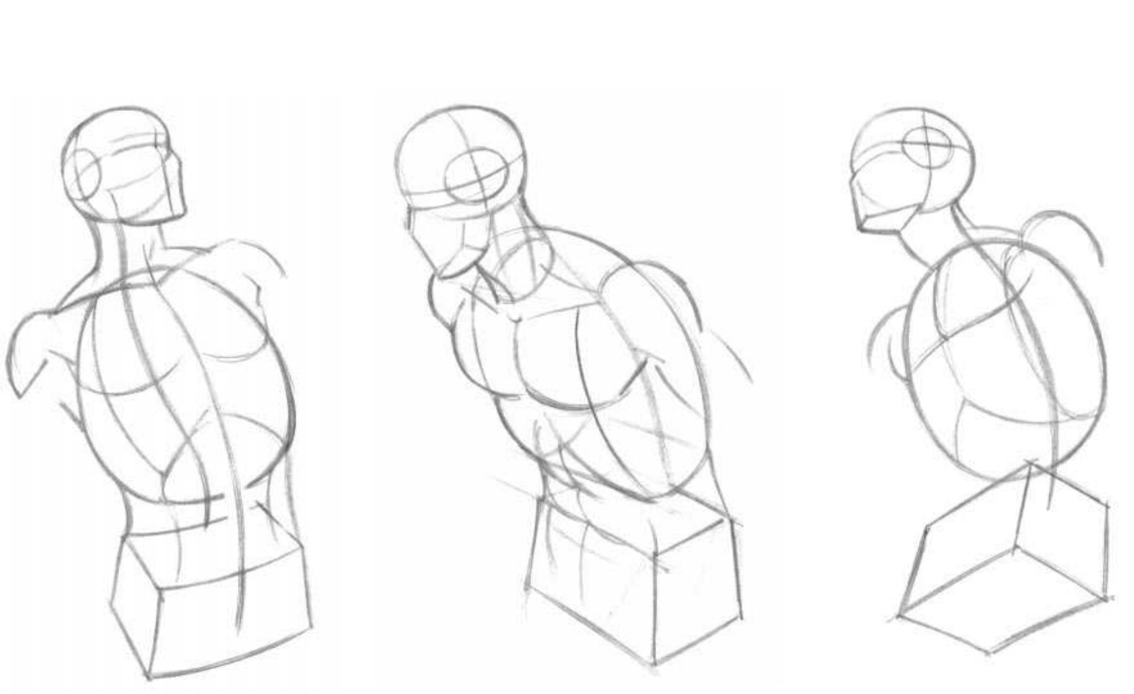 (PDF) BOOKLET: Figure Drawing Basics: Action & Structure (2000; 2nd ed ...