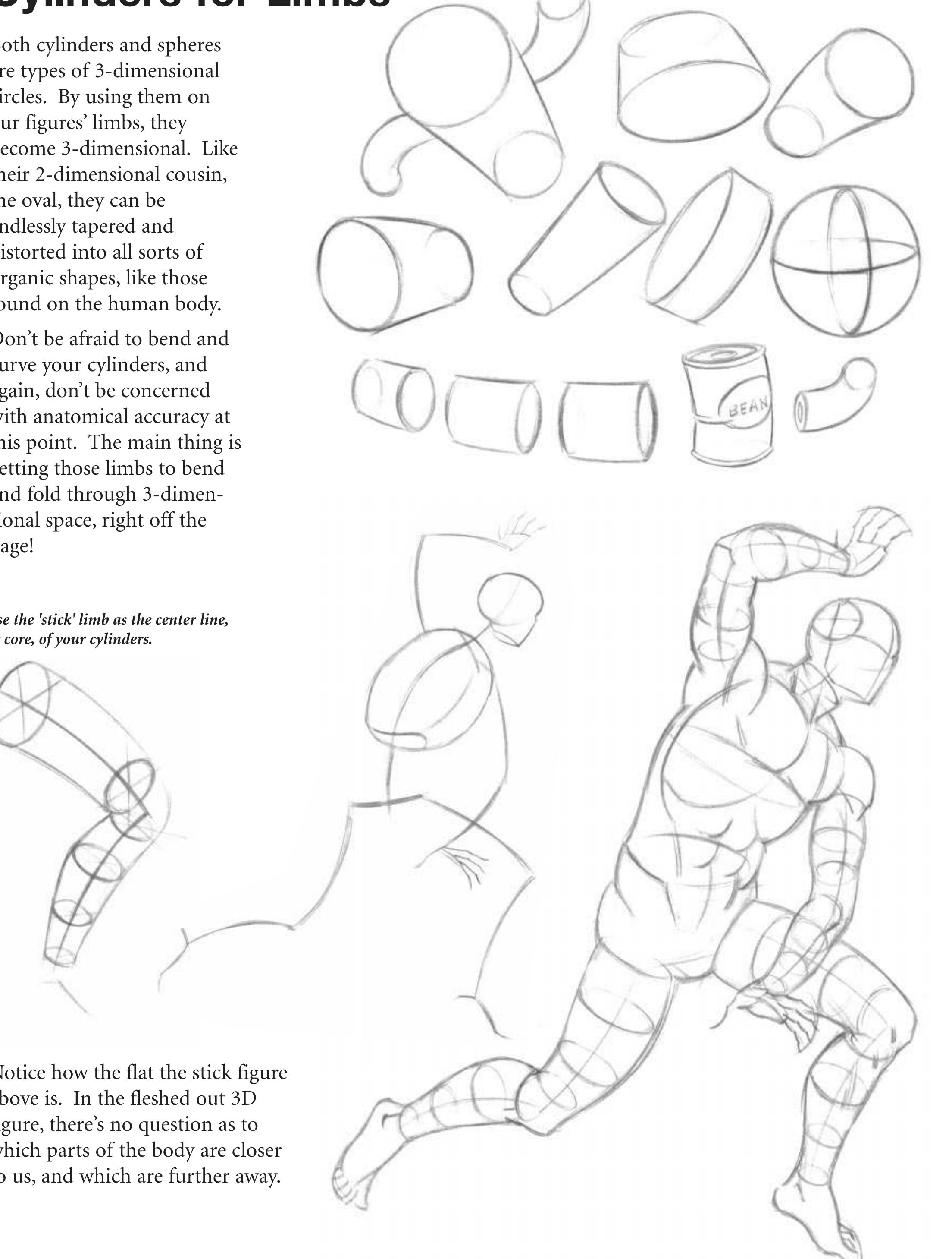 (PDF) BOOKLET: Figure Drawing Basics: Action & Structure (2000; 2nd ed ...