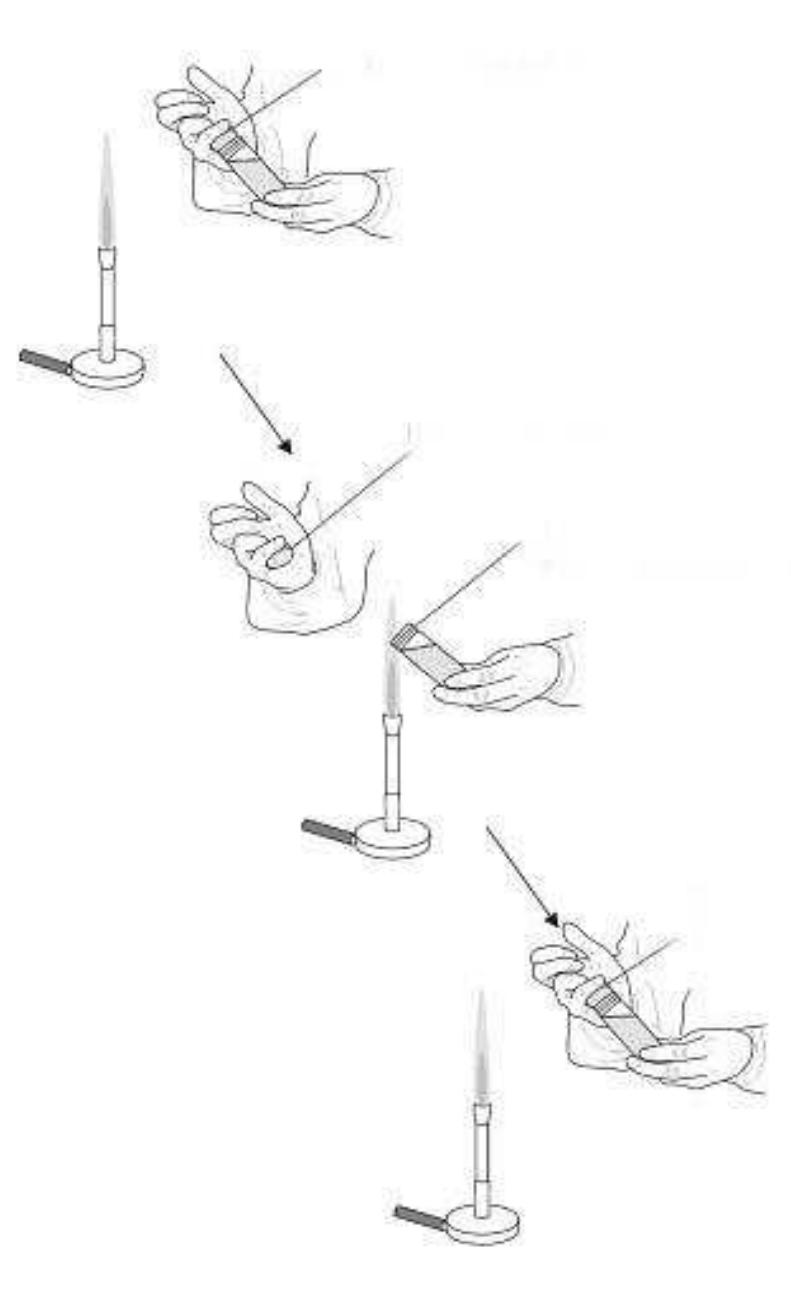 Flaming the neck of bottle inoculation of media in screw cap