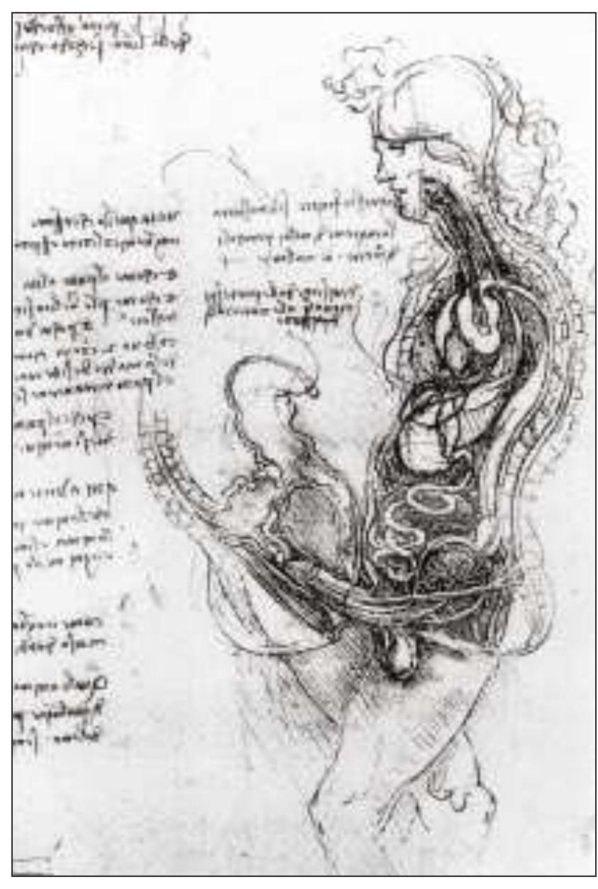 “the copulation” as imagined and drawn by leonardo da