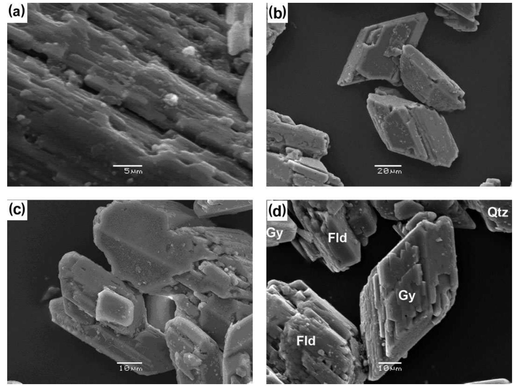 Scanning electron microscope images of fgd gypsum samples: