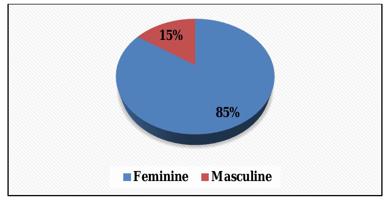 Representation of masculine vs feminine dimensions