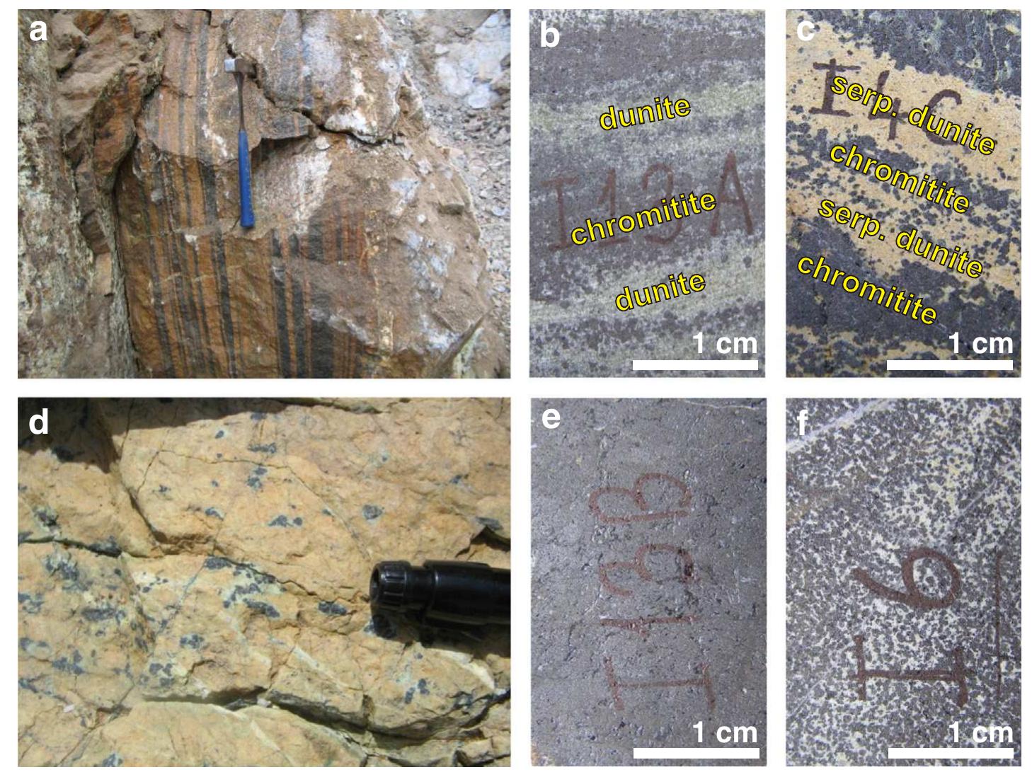 Photographs showing morphologies and structures of