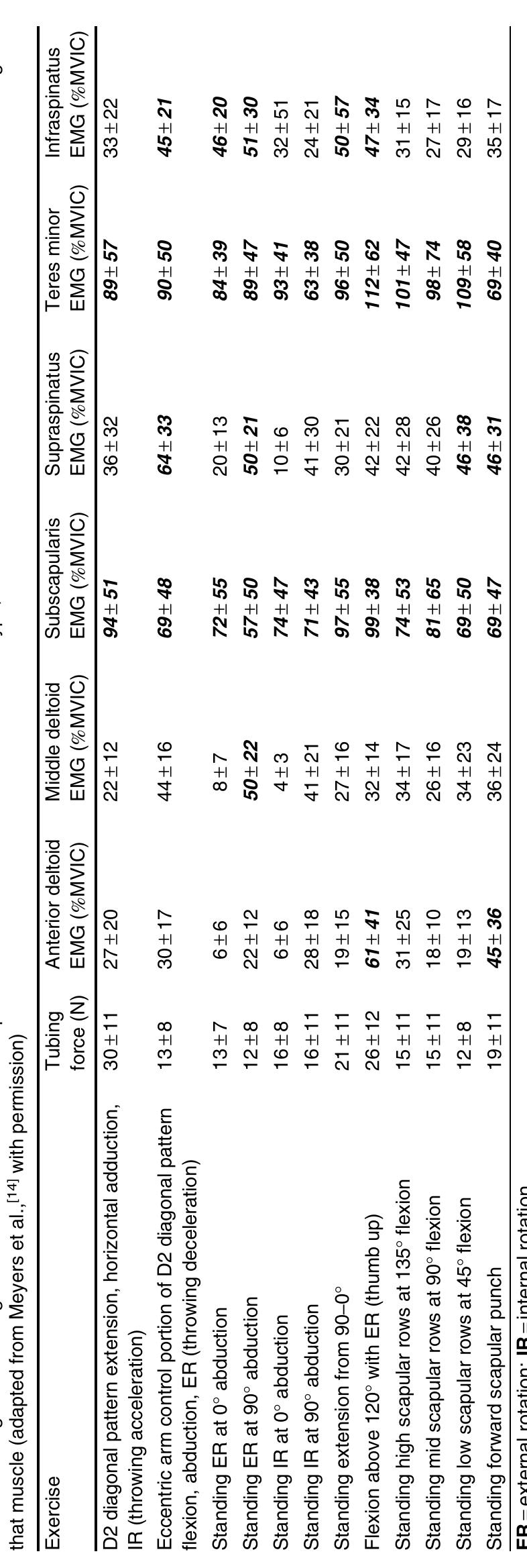 Shoulder muscle activity and function
