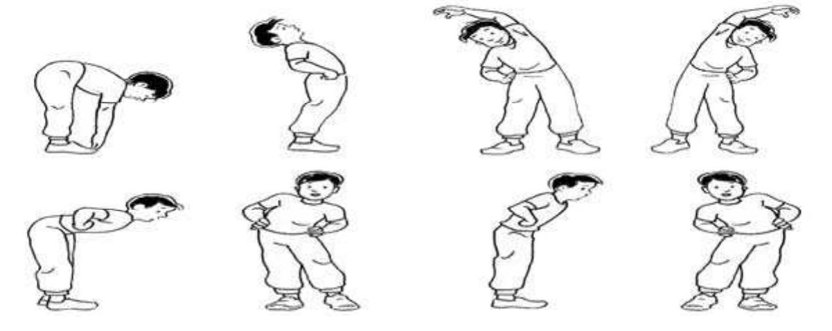 (PDF) Lesson 1: BODY SHAPES AND ACTION Time Allotment: 40 minutes