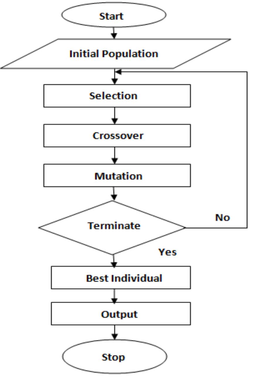 Flowchart for genetic algorithm|[2,6] in a general genetic
