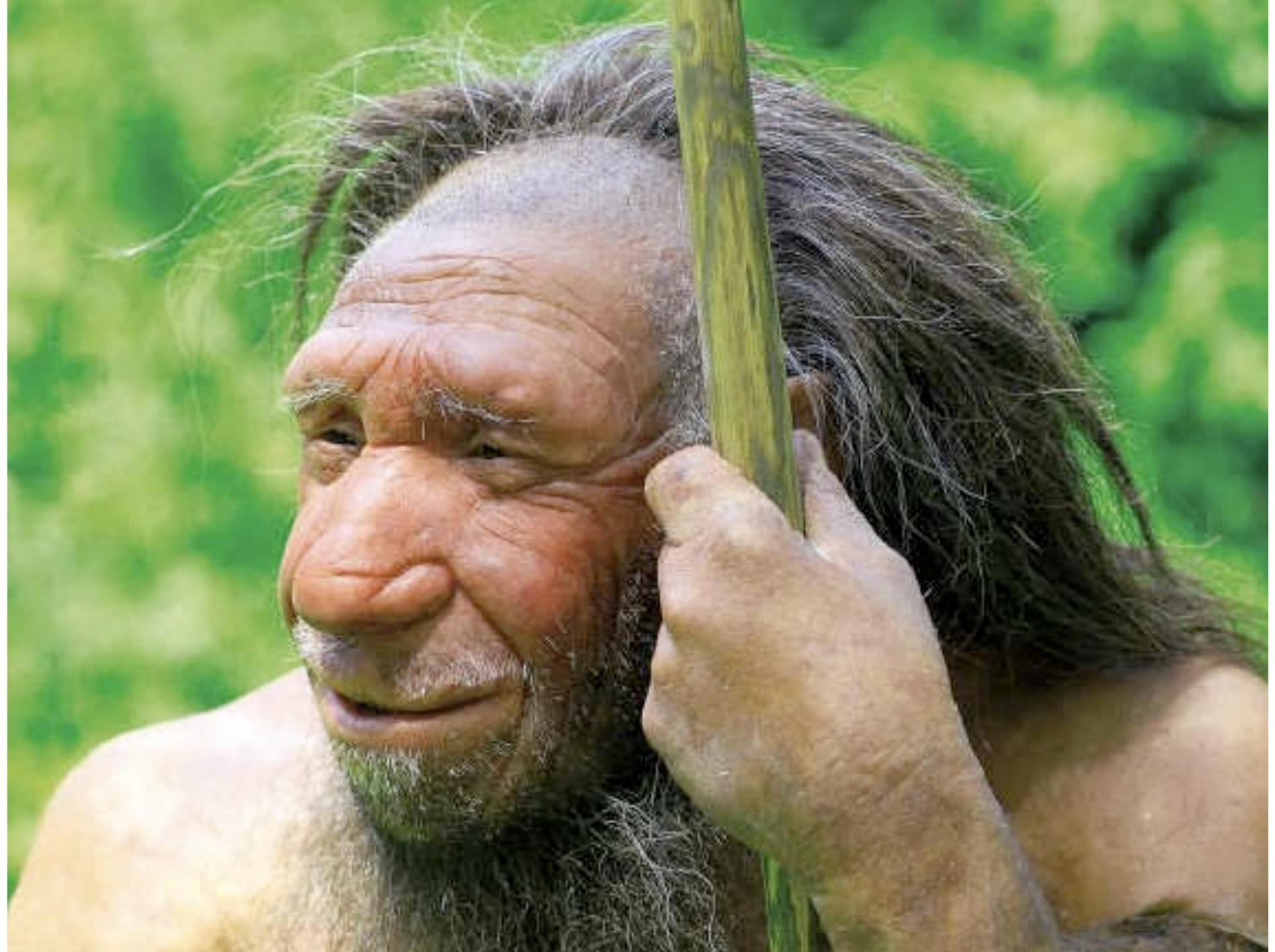 Figure 13 - from A Short Guide to the Evolution of Human