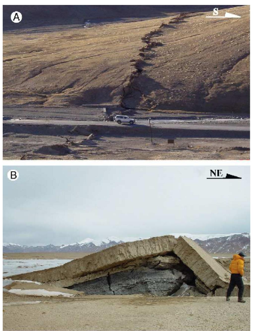 Photographs showing the mole track structures developed