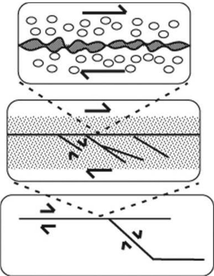 Schematic illustration of a hierarchical structure of an