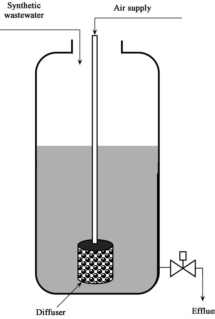 Schematic illustration of the bioreactor.