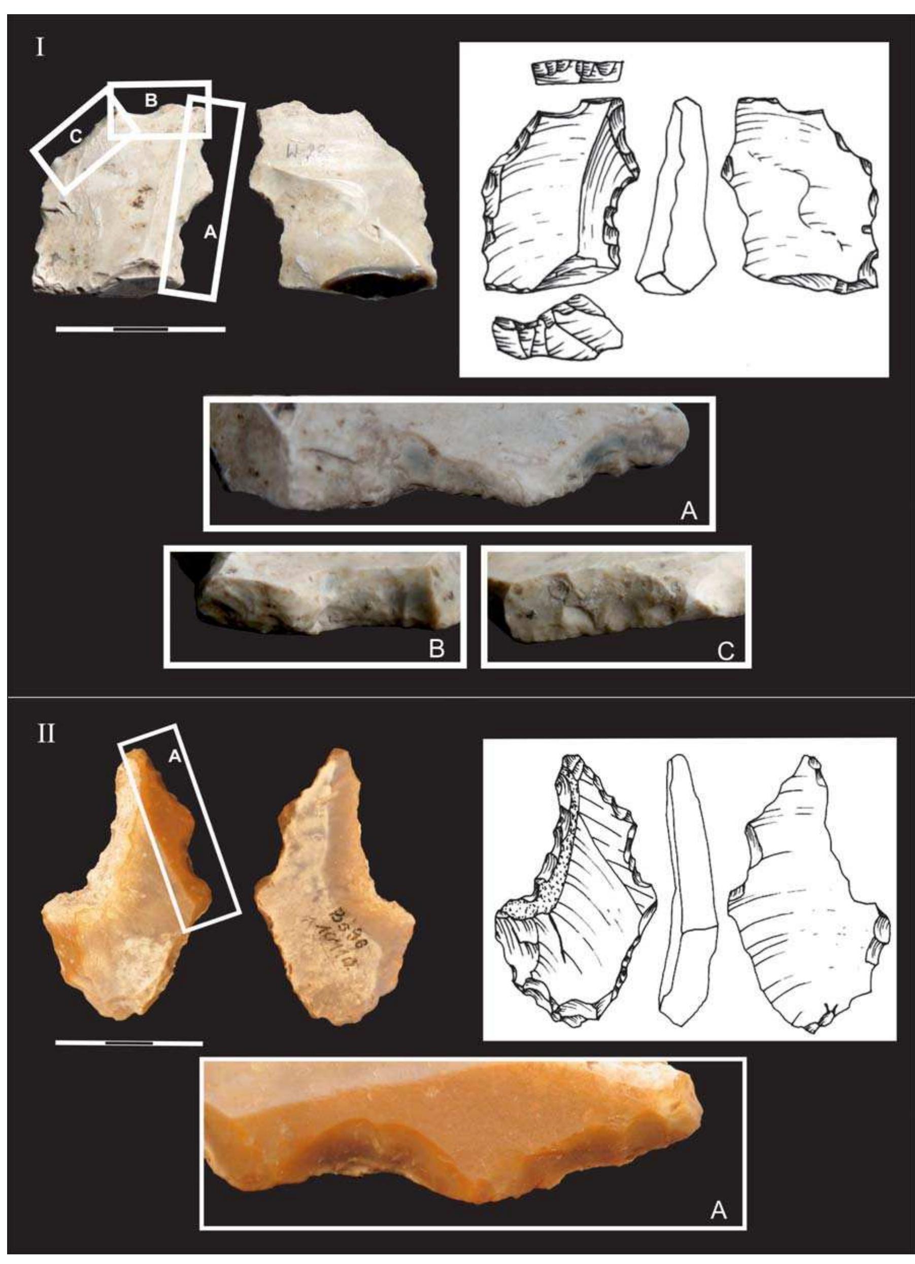 Examples of pseudo-tools with natural retouch on debitage.
