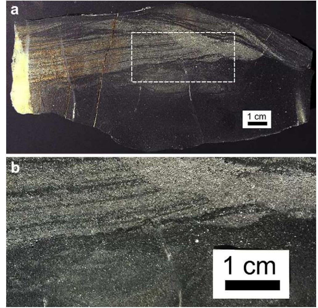 (a) photograph of quartzite boudin showing convolute bedding