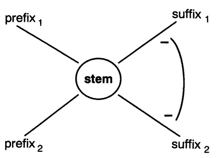 The expanded stem-affix model of the lexical entry for se-