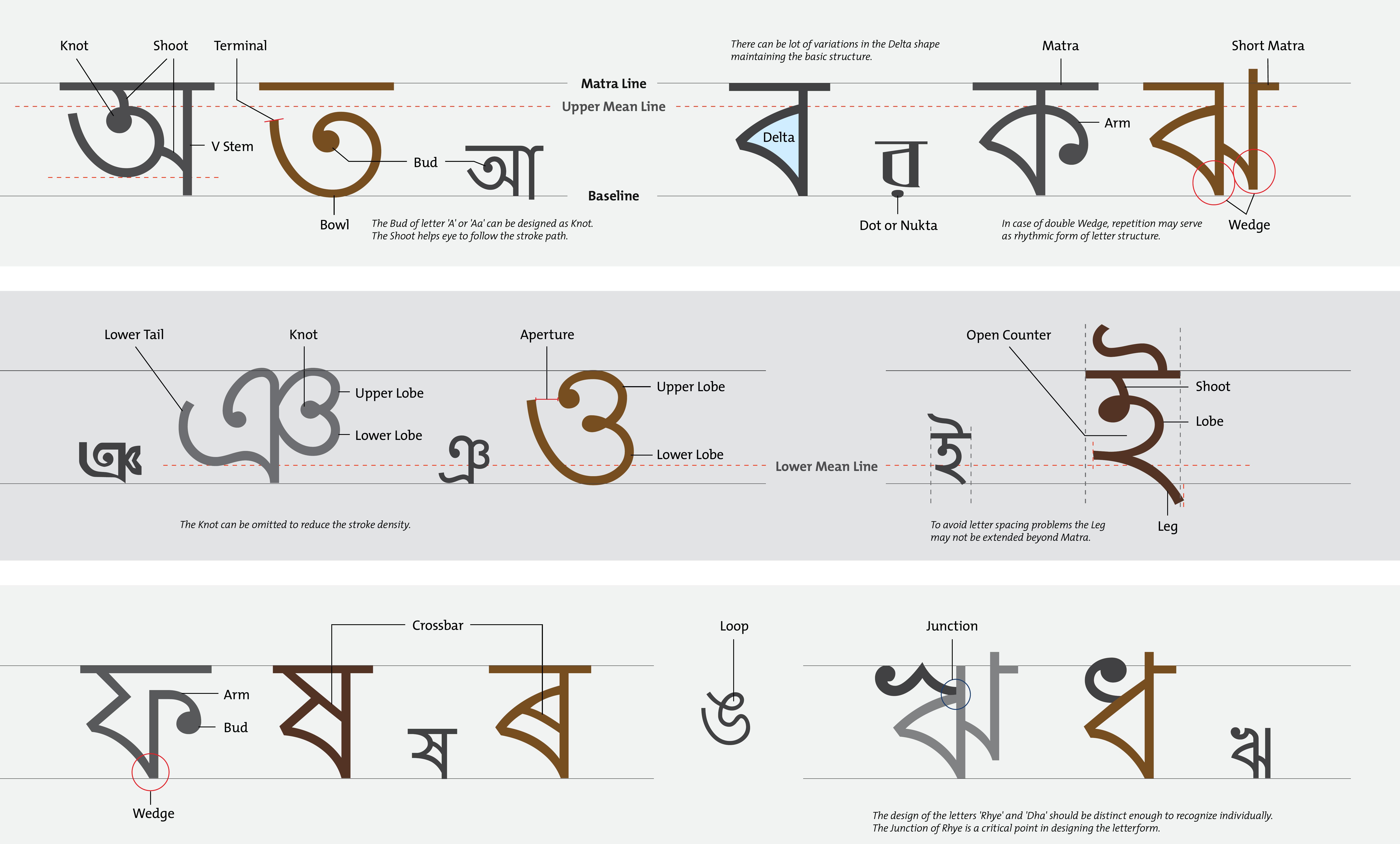 The anatomy of letterforms defines the structural formation