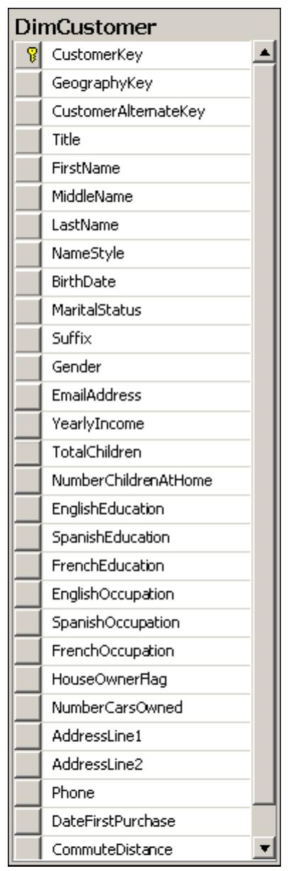 -9 the dimcustomer dimension. figure 1-9 shows the