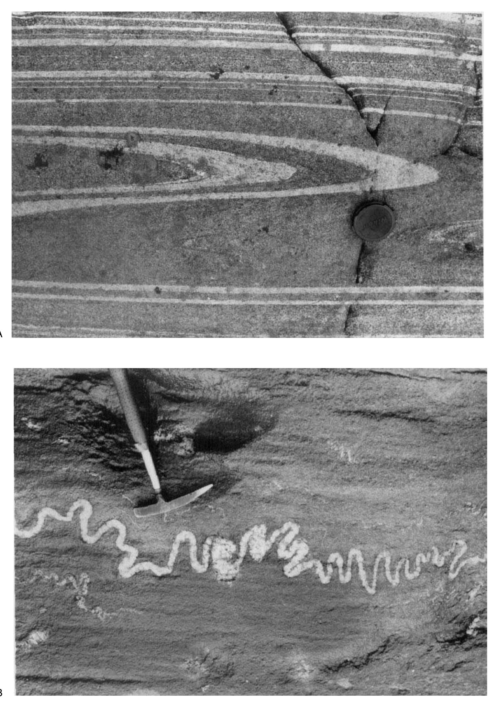 Practise using the terms explained in this chapter to