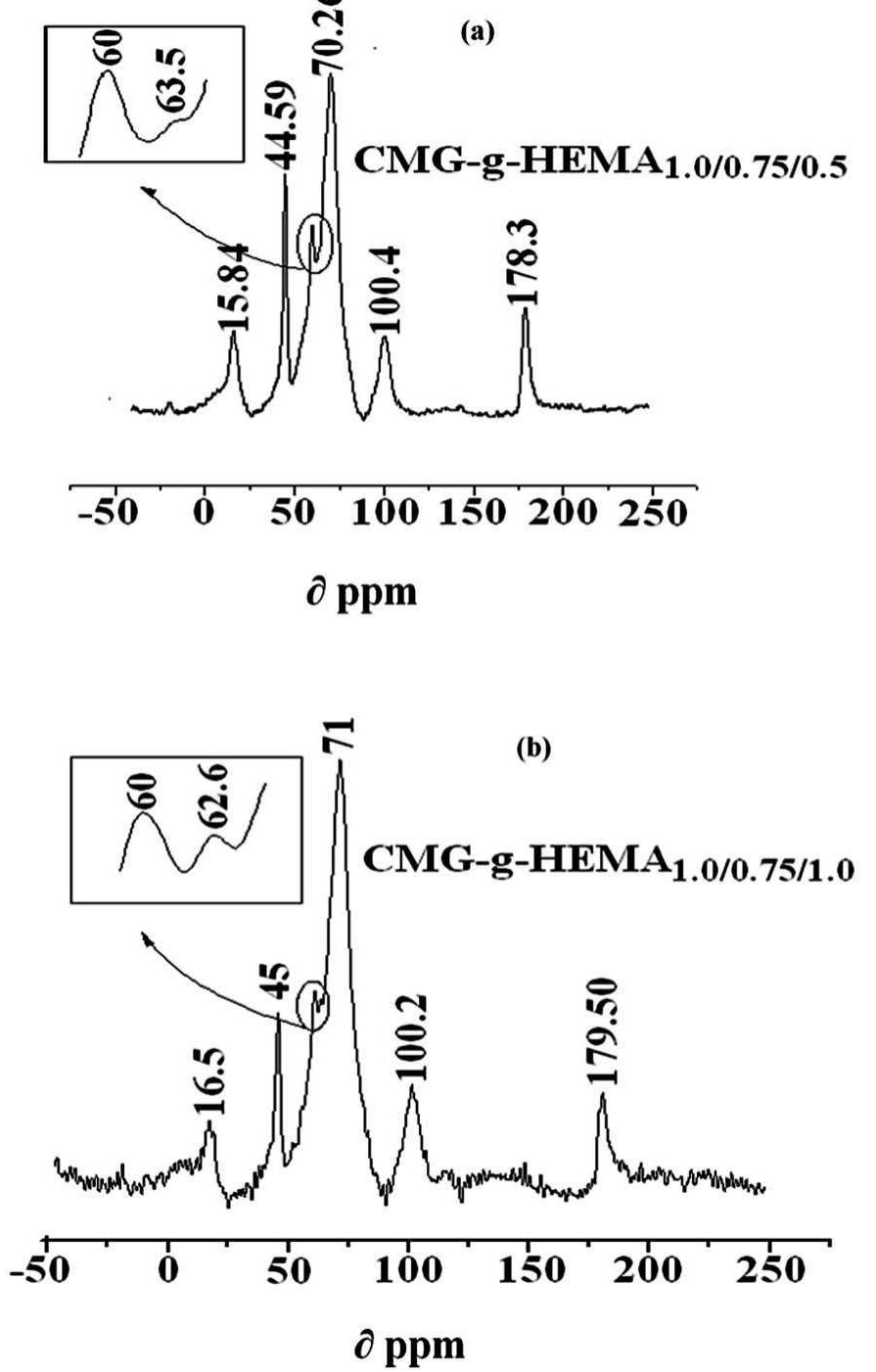 Solid state *c nmr spectra of (a) cmg—hema, 0/9 75/05 and